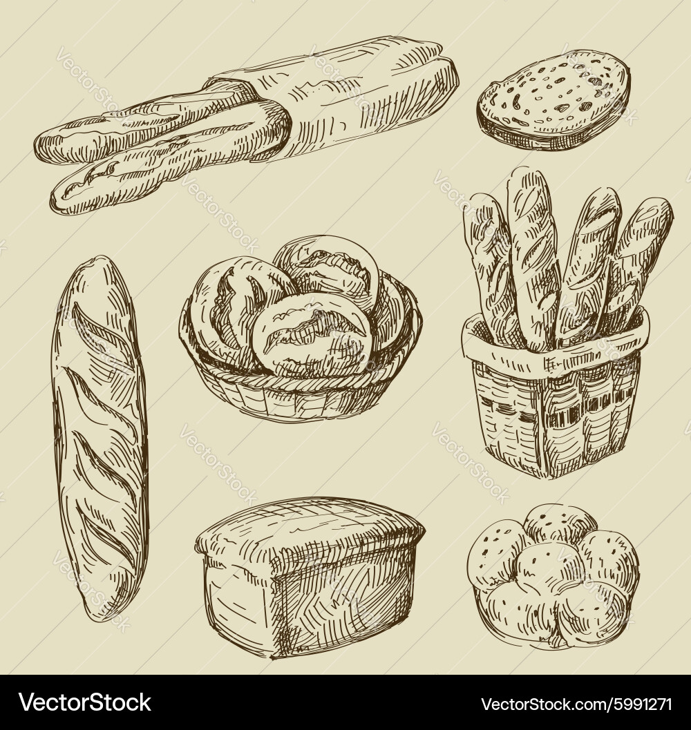 Bread doodle Royalty Free Vector Image - VectorStock