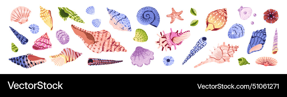 Ocean seashells set different beach sea shells Vector Image