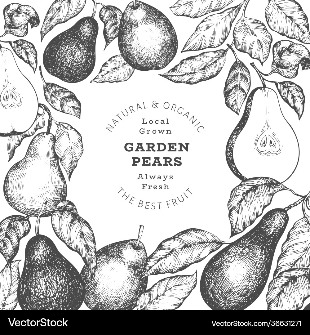 Pear design template hand drawn garden fruit Vector Image