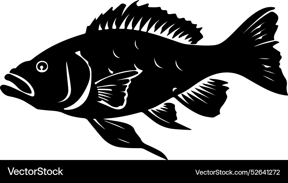 Coelacanth fish silhouette white background Vector Image