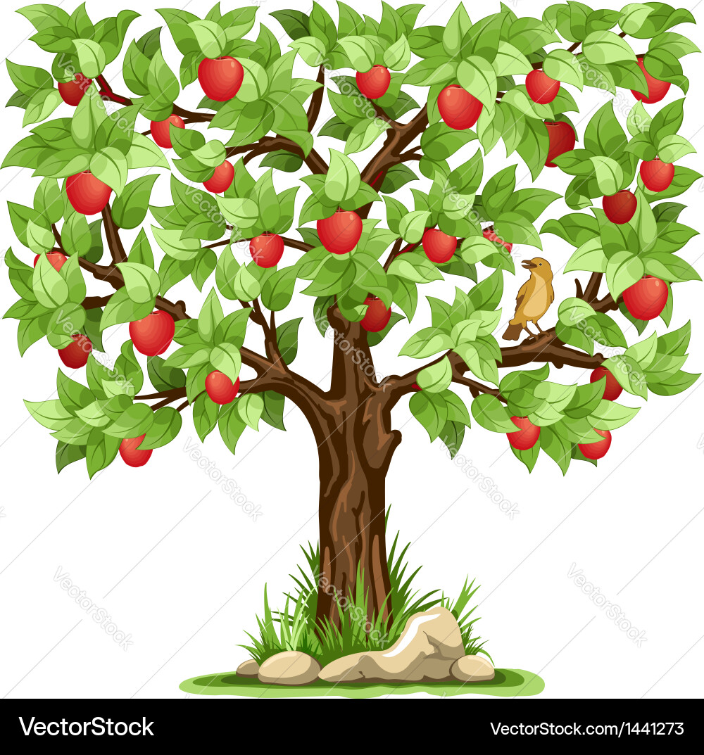 Apple tree Royalty Free Vector Image - VectorStock