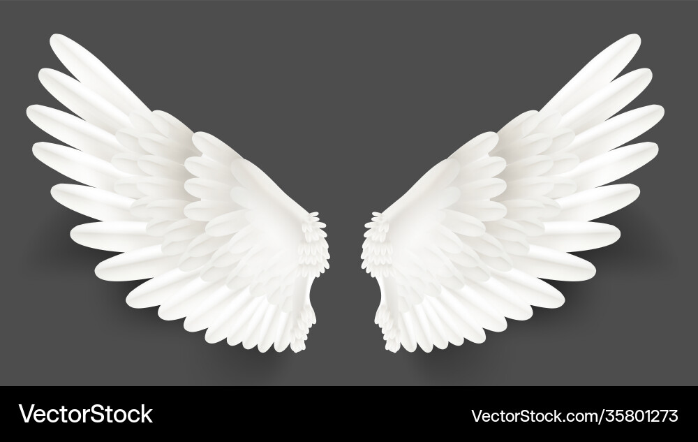 Detailed White Angel Wings Royalty Free Vector Image