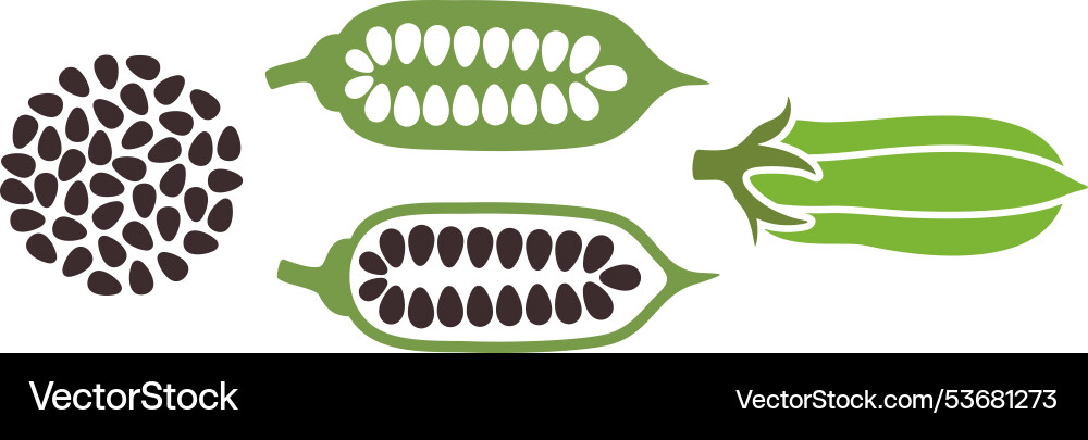 Sesame Royalty Free Vector Image - VectorStock