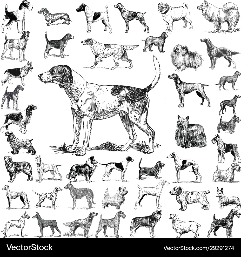 Dog Vector Images (over 440,000)