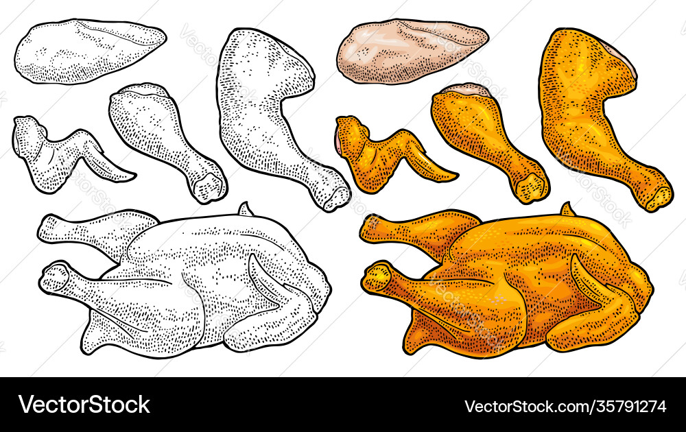 Part cutting roasted chicken - whole leg wing Vector Image