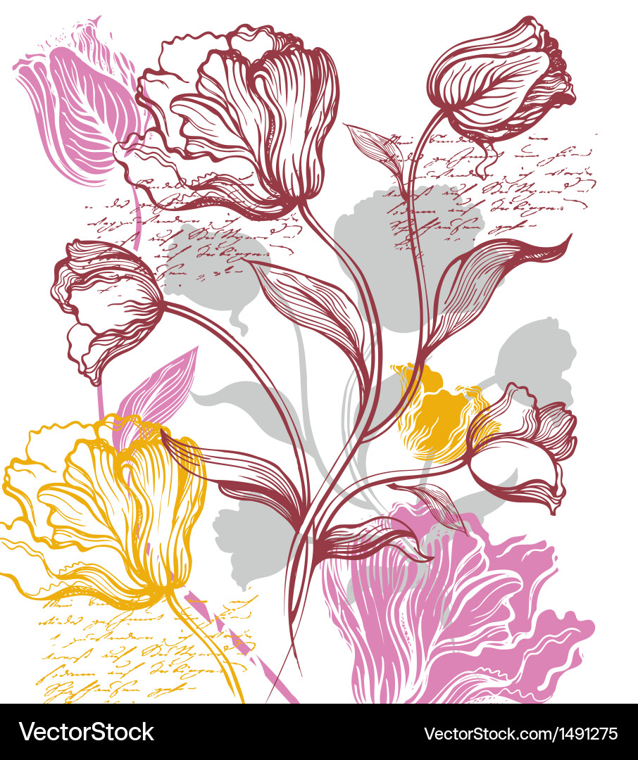 Floral Calligraphy Tulips Royalty Free Vector Image