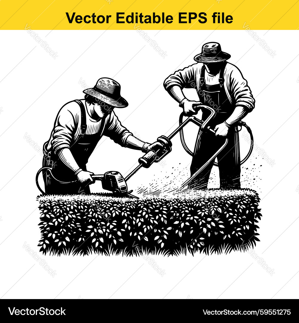 Shears Hedge Trimmer Vector Images (over 280)