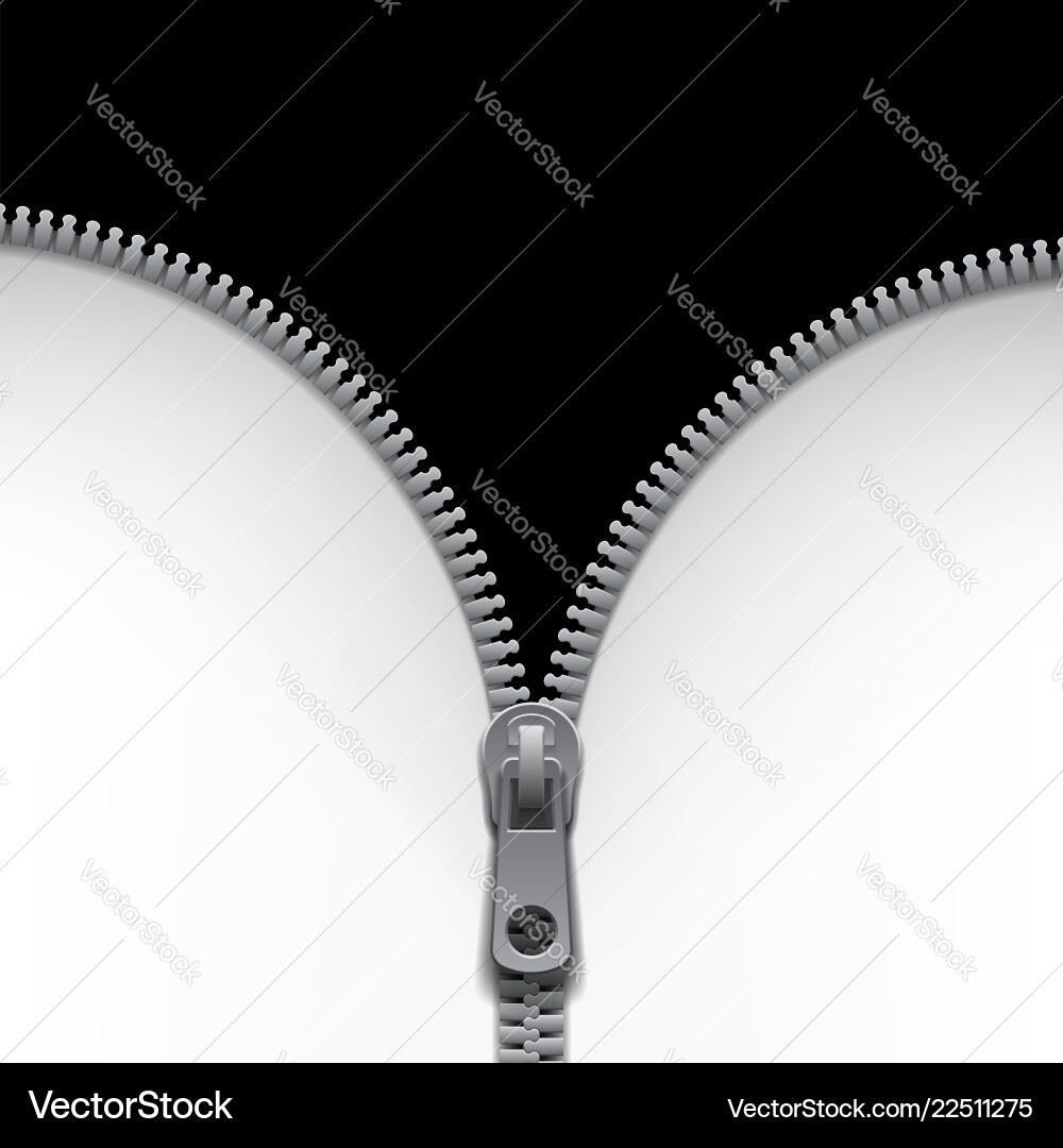 Zipper Detail on Black Background Royalty Free Vector Image