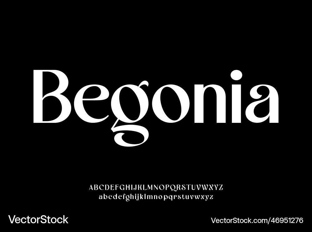 Elegant luxury decorative display font Royalty Free Vector