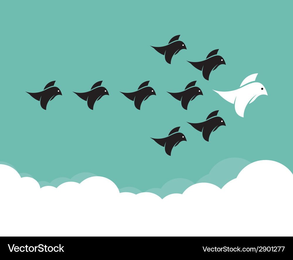 Bird leadership Royalty Free Vector Image - VectorStock