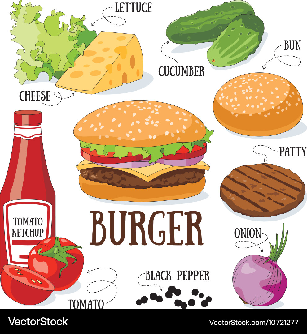 Burger Royalty Free Vector Image - VectorStock