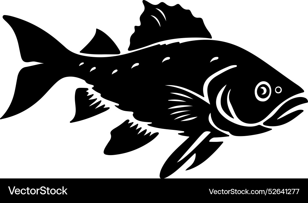 Coelacanth fish silhouette white background Vector Image