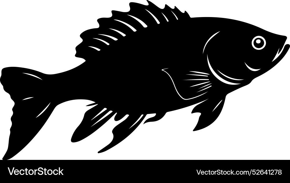 Coelacanth fish silhouette white background Vector Image