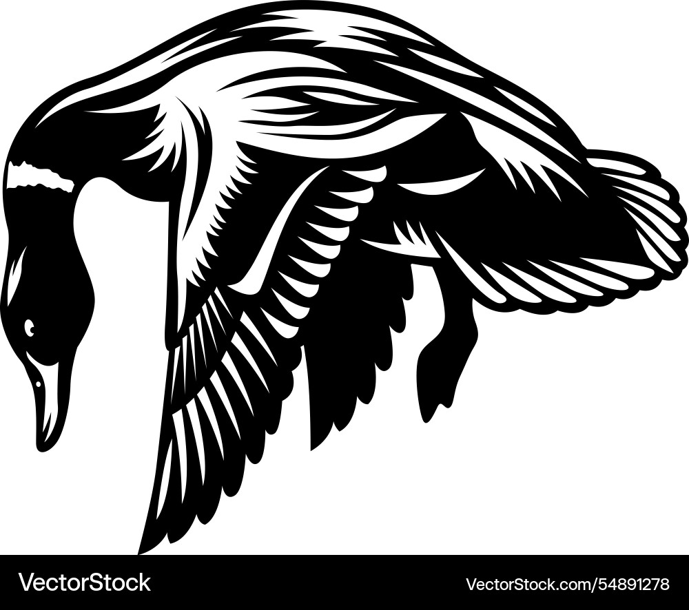 Dead mallard duck hunting logo Royalty Free Vector Image