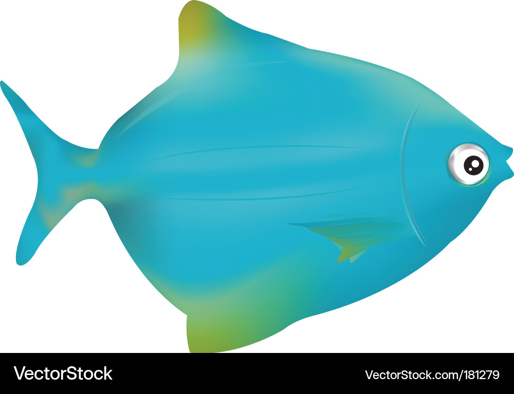 Blue fish Royalty Free Vector Image - VectorStock