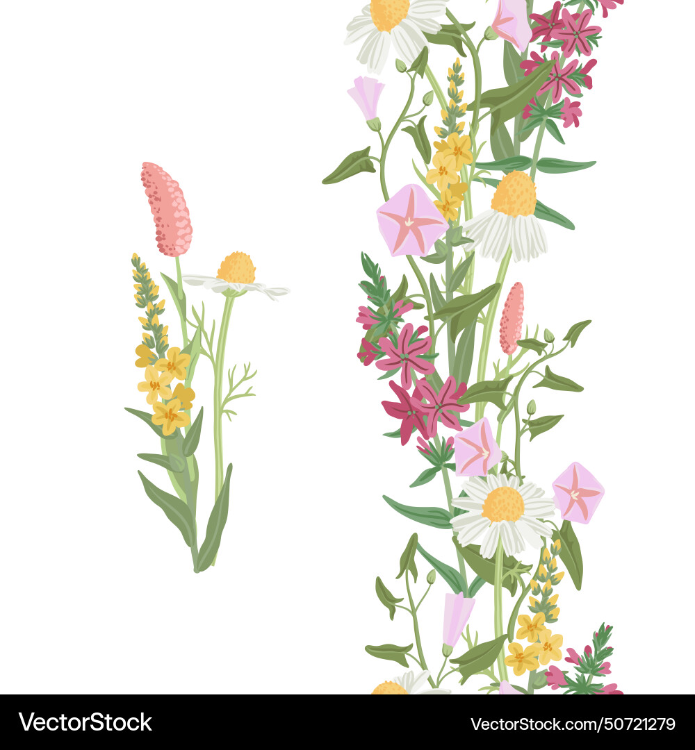 Drawing wild flowers Royalty Free Vector Image