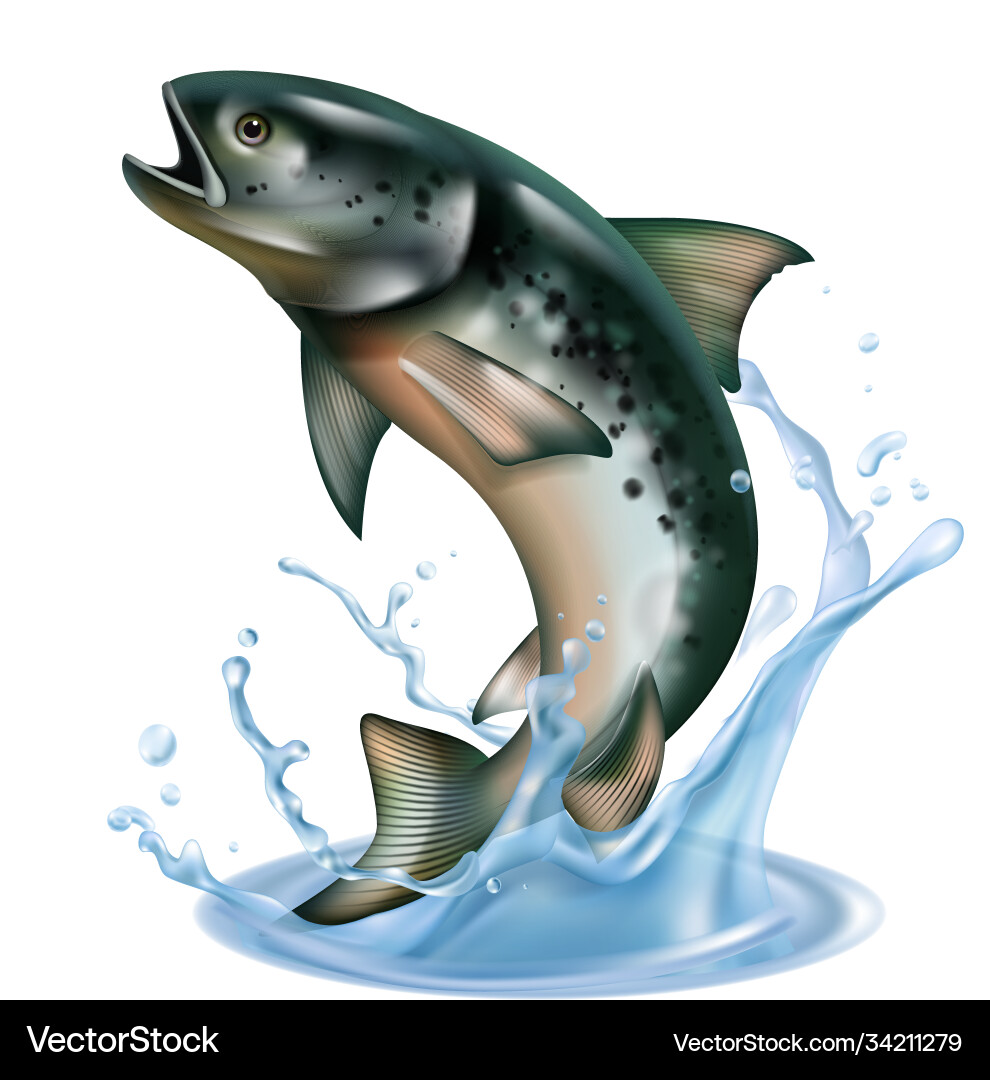 Jumping fish realistic concept Royalty Free Vector Image