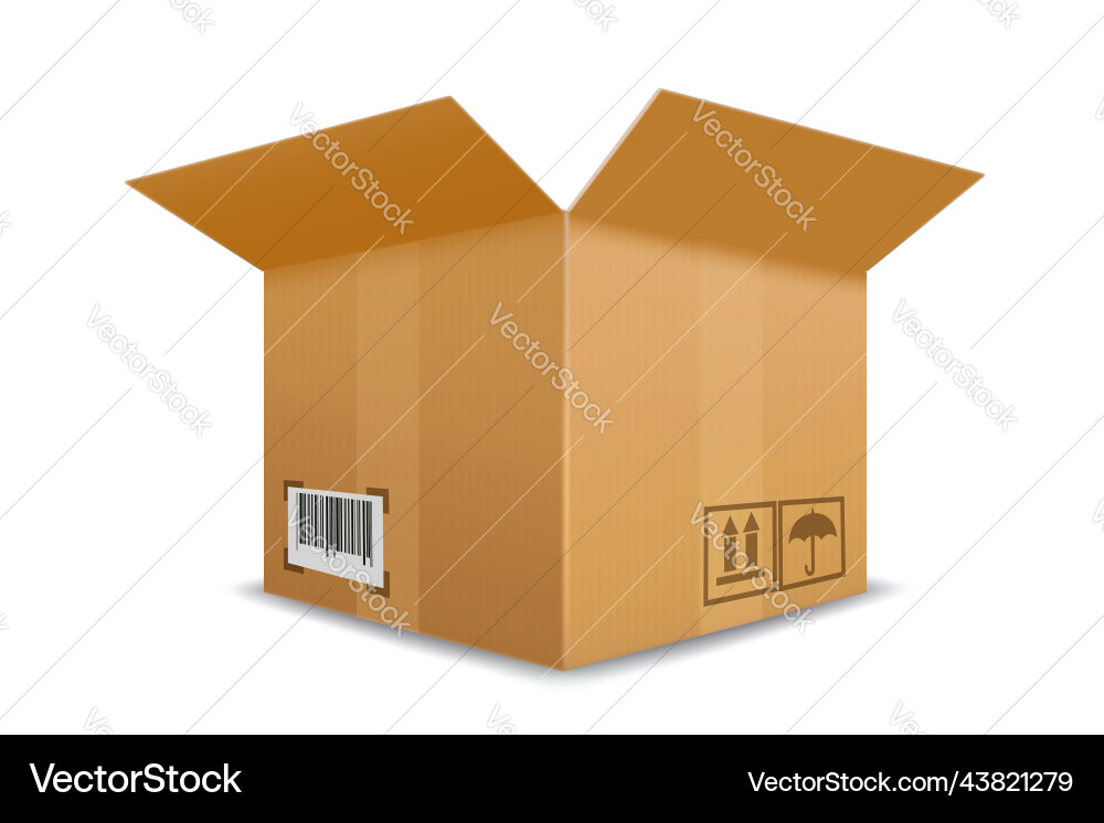 Open blank cardboard box template mockup Vector Image