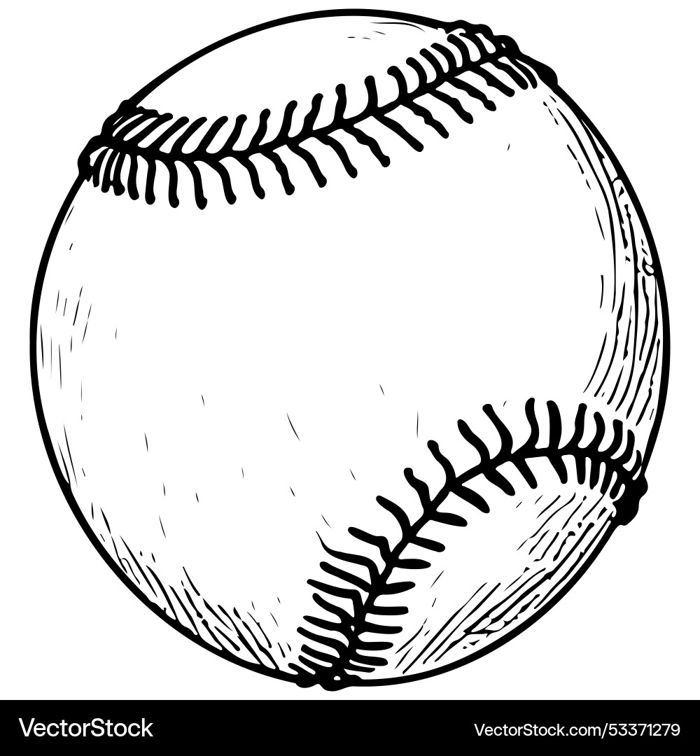 Softball monochrome outline drawing realistic Vector Image