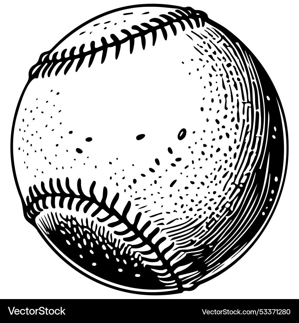 Softball sketch realistic line monochrome drawing Vector Image
