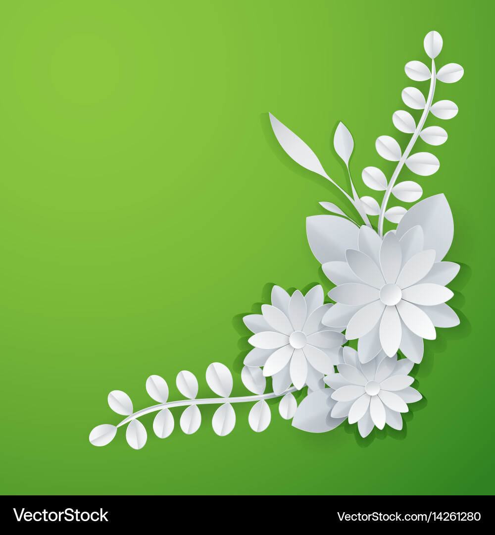 White paper flowers floral background Royalty Free Vector