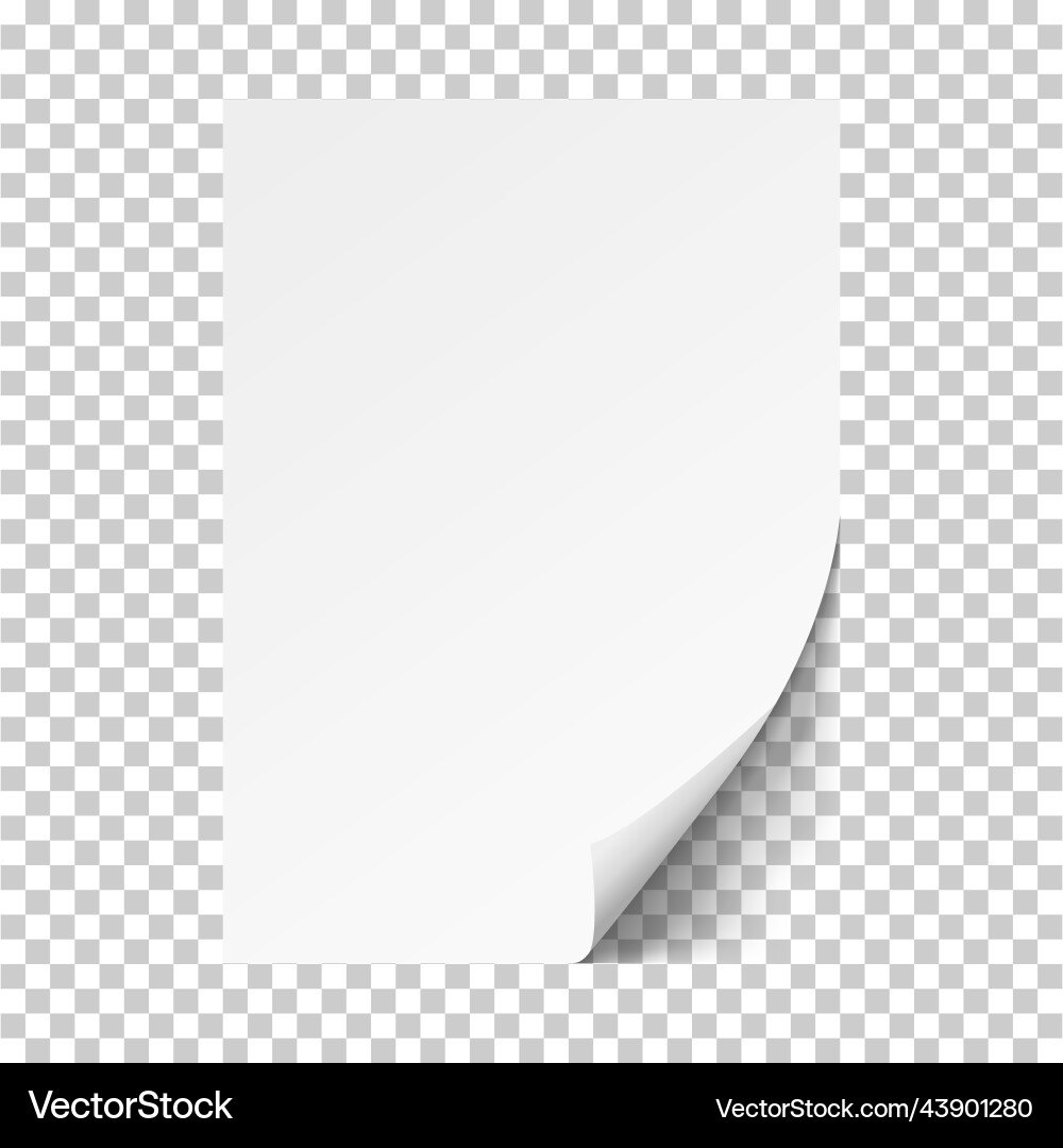 White sheet of paperrealistic on transparent Vector Image