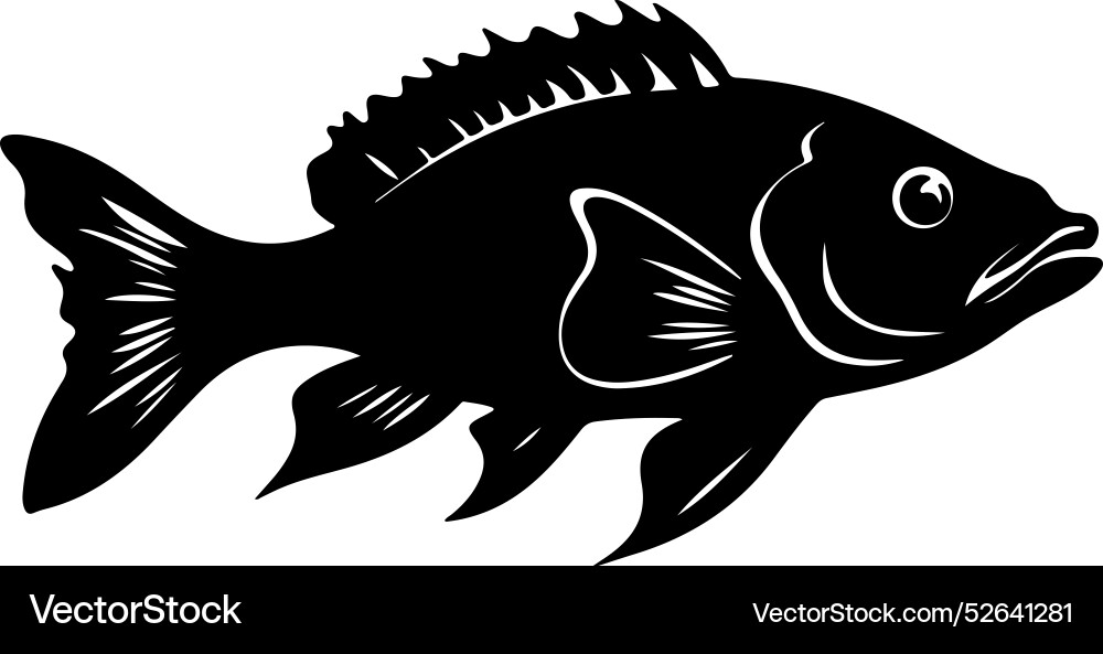 Coelacanth fish silhouette white background Vector Image