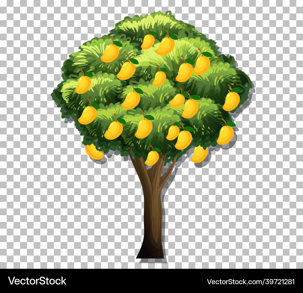 Mango tree on transparent background Royalty Free Vector