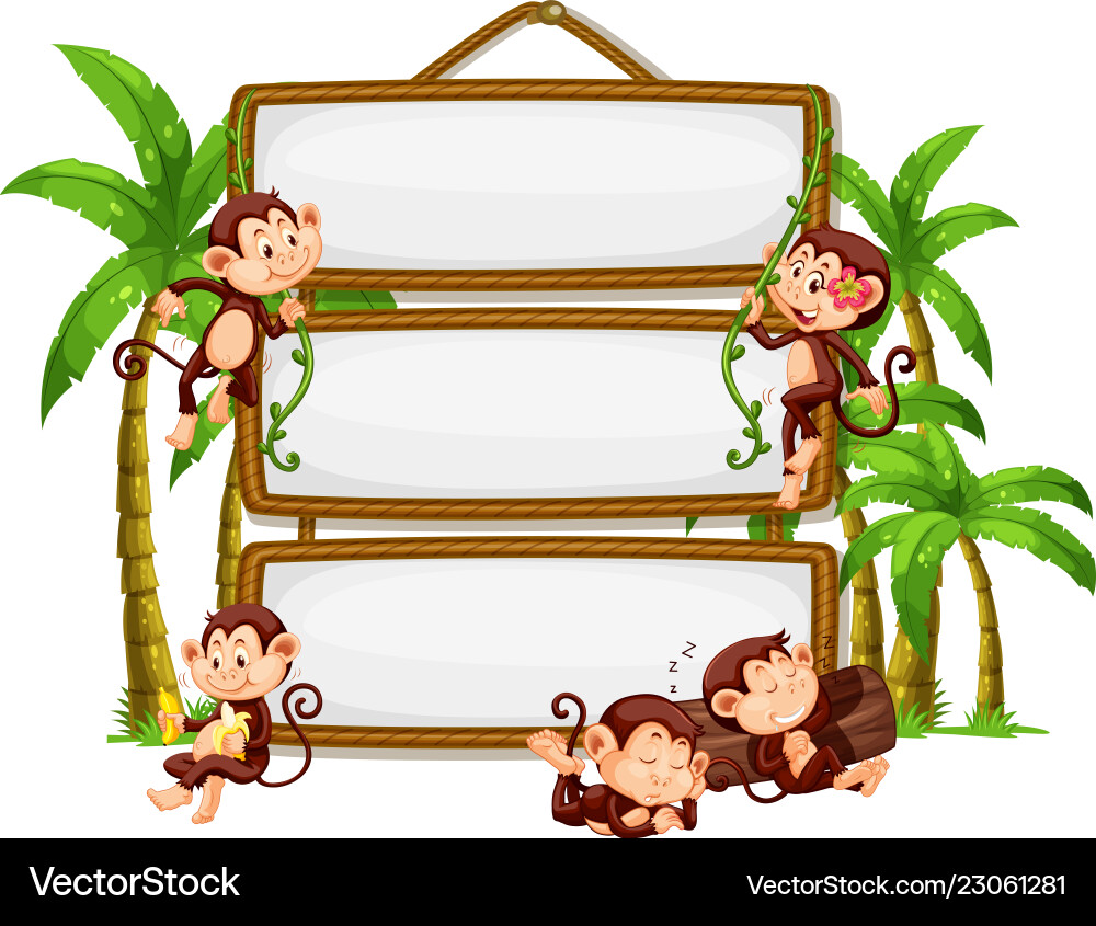 Monkey with signboard on white background Vector Image