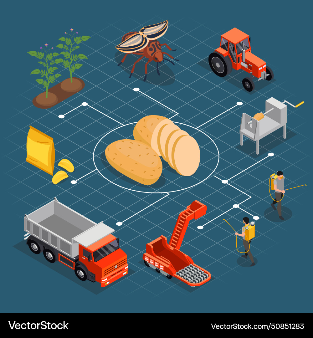Chips production isometric flowchart Royalty Free Vector