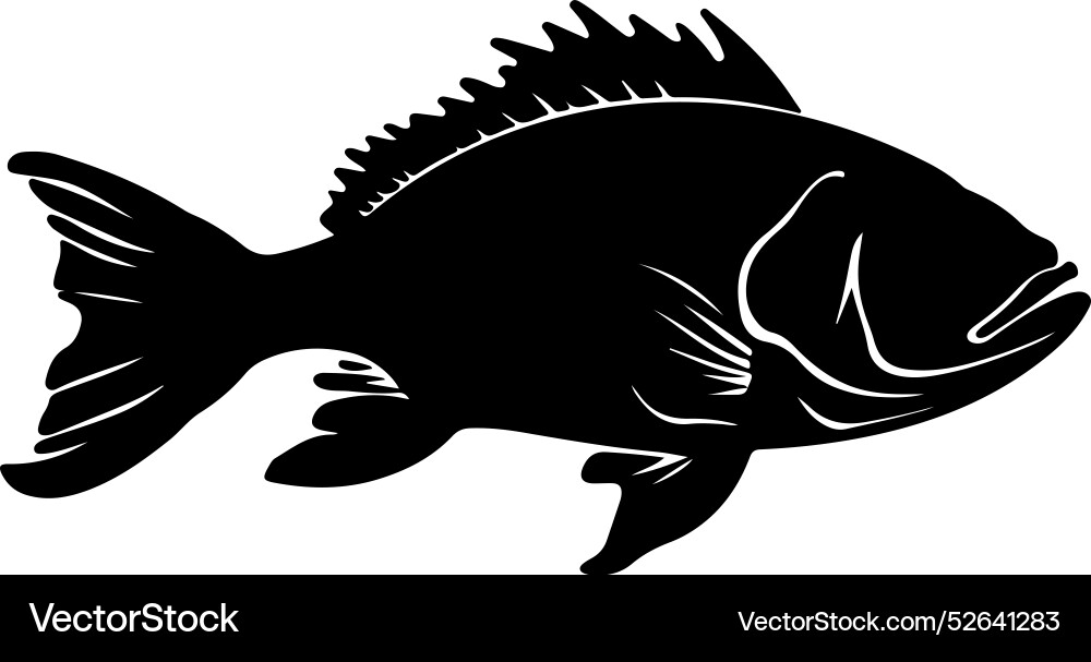 Coelacanth fish silhouette white background Vector Image
