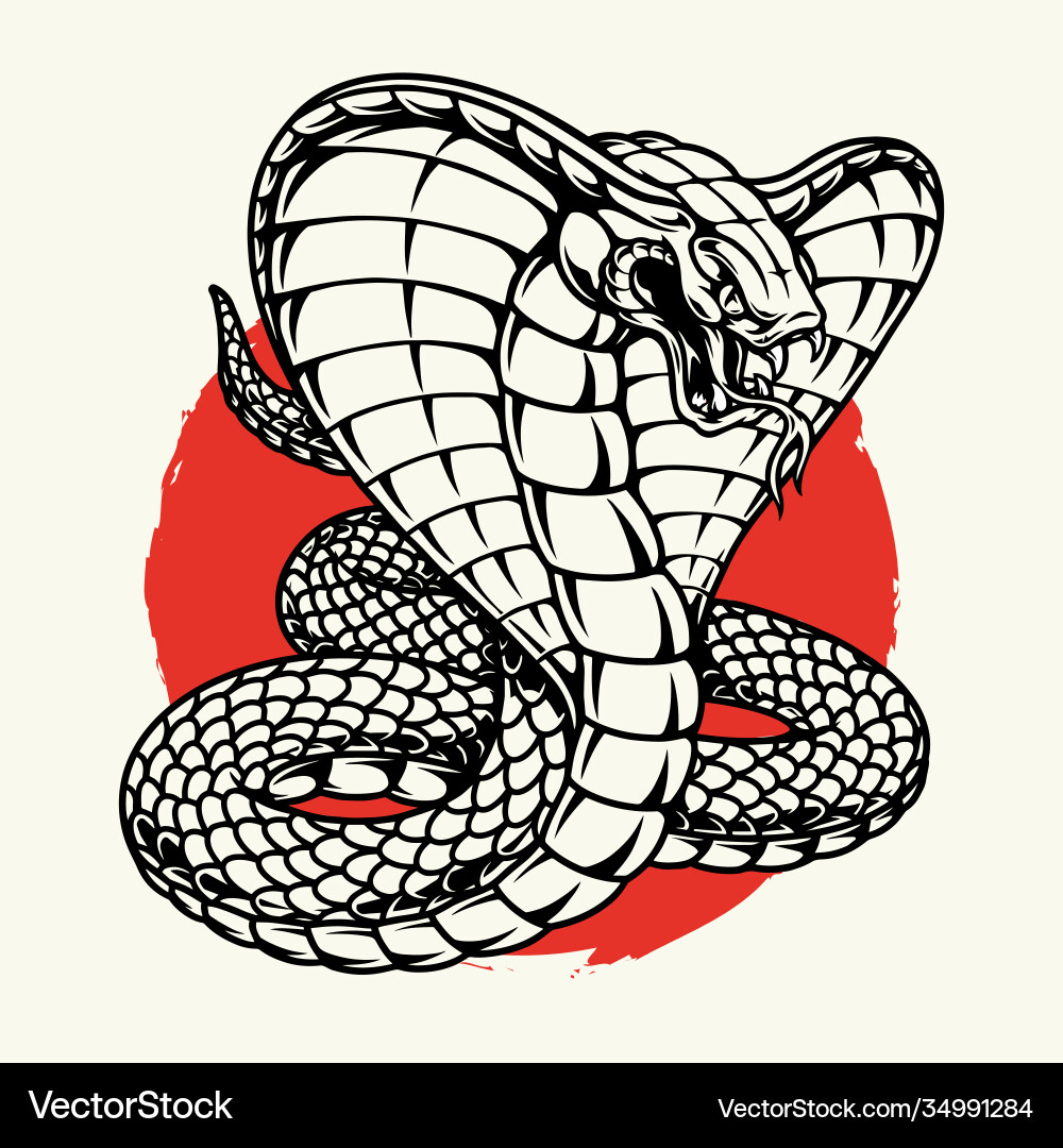 Angry poisonous king cobra concept Royalty Free Vector Image