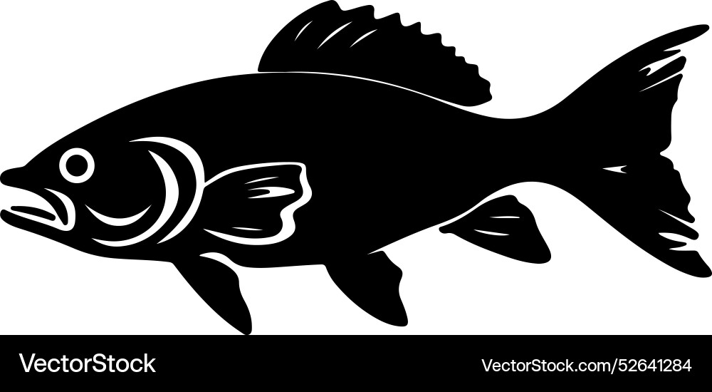 Coelacanth fish silhouette white background Vector Image