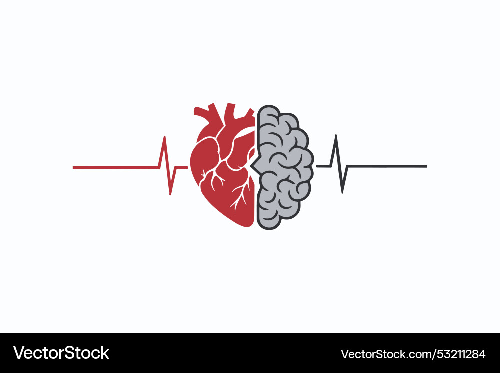 Heart and brain concept Royalty Free Vector Image