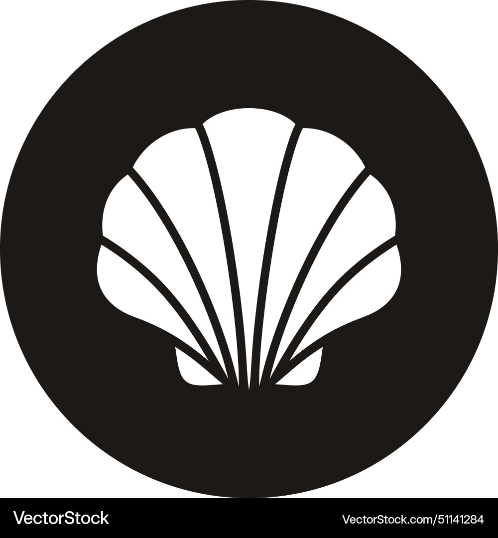 Scallop Royalty Free Vector Image - VectorStock