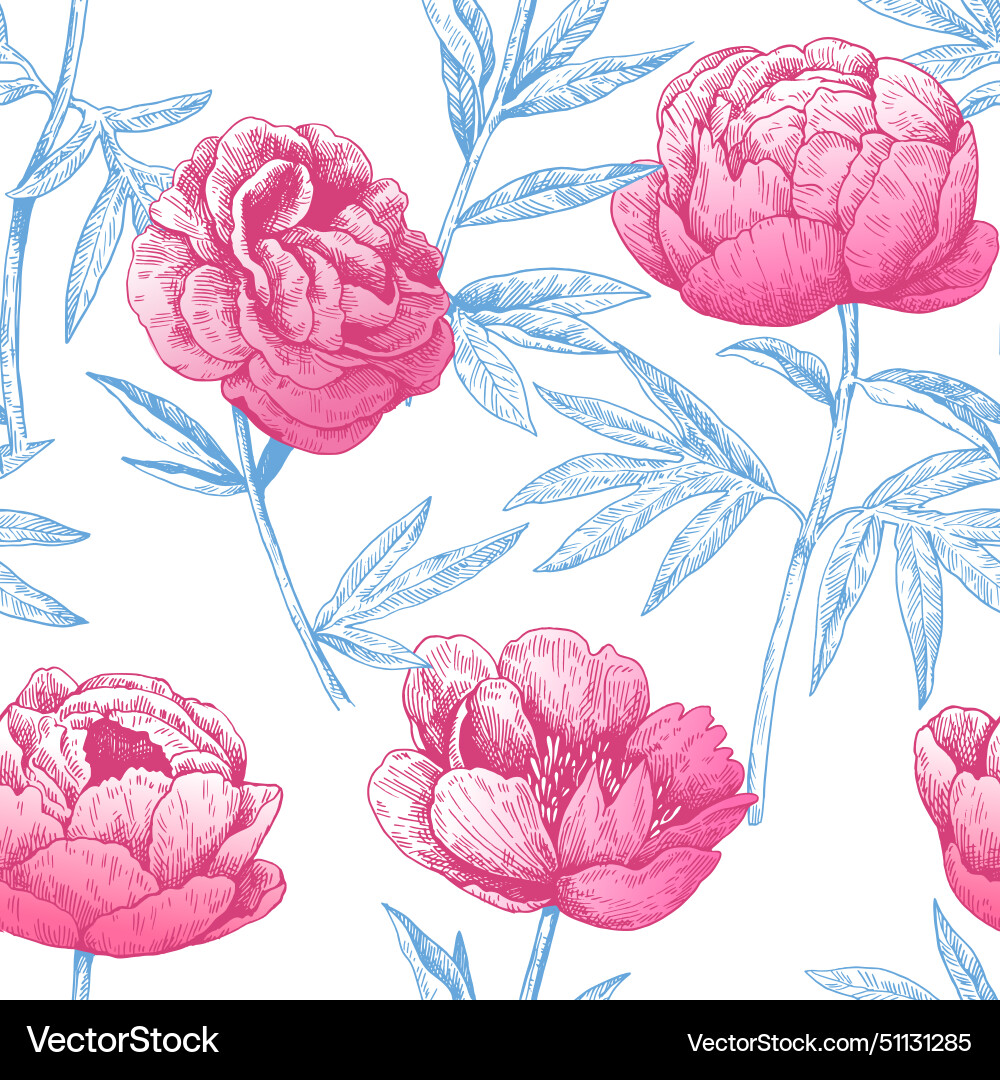 Colorful seamless pattern with peony flowers Vector Image