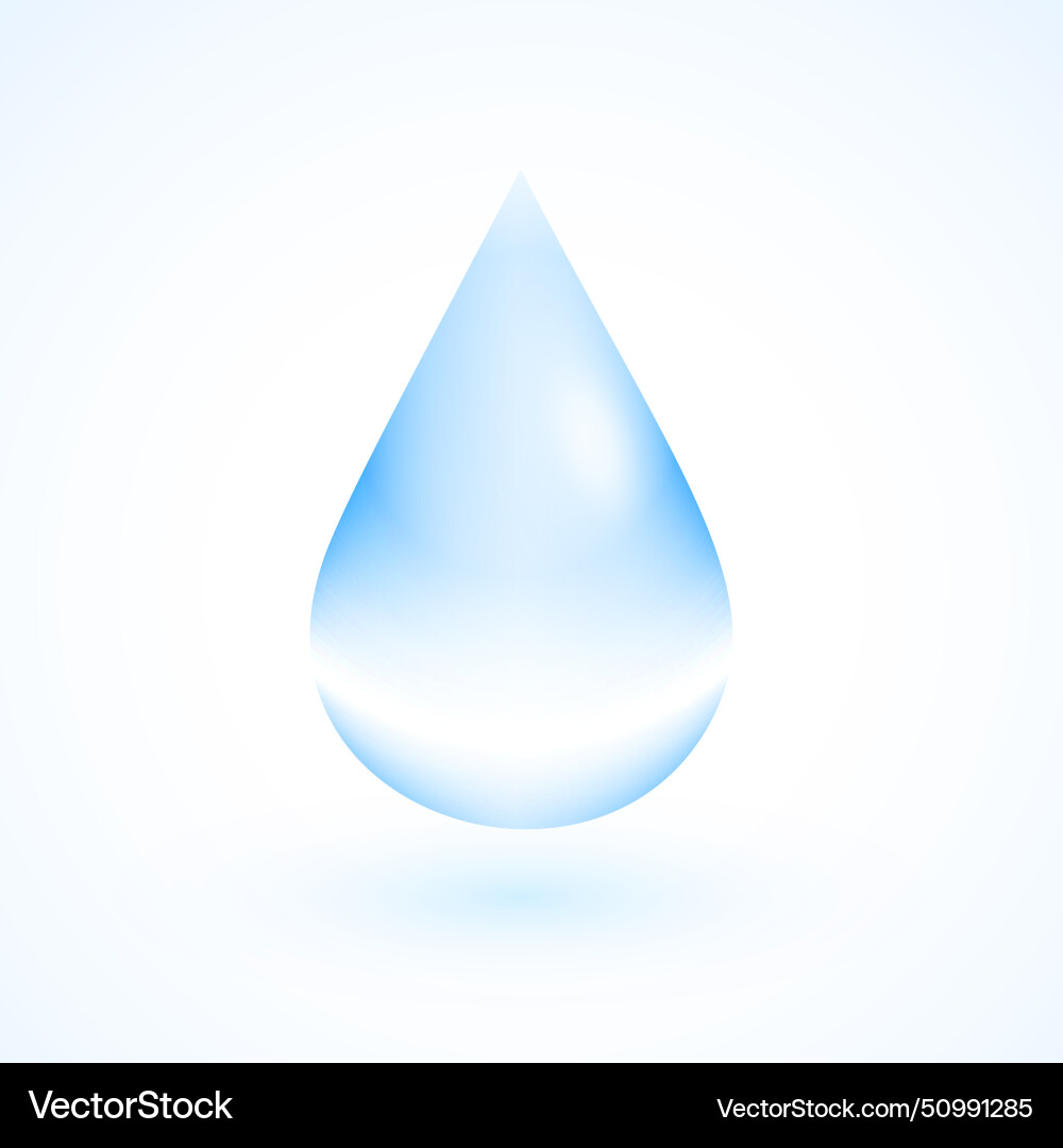 Isolated and realistic fresh water droplet design Vector Image