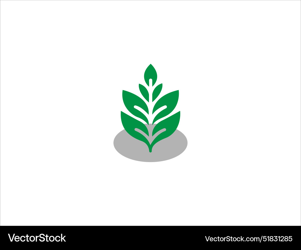 Leaf logo design Royalty Free Vector Image - VectorStock