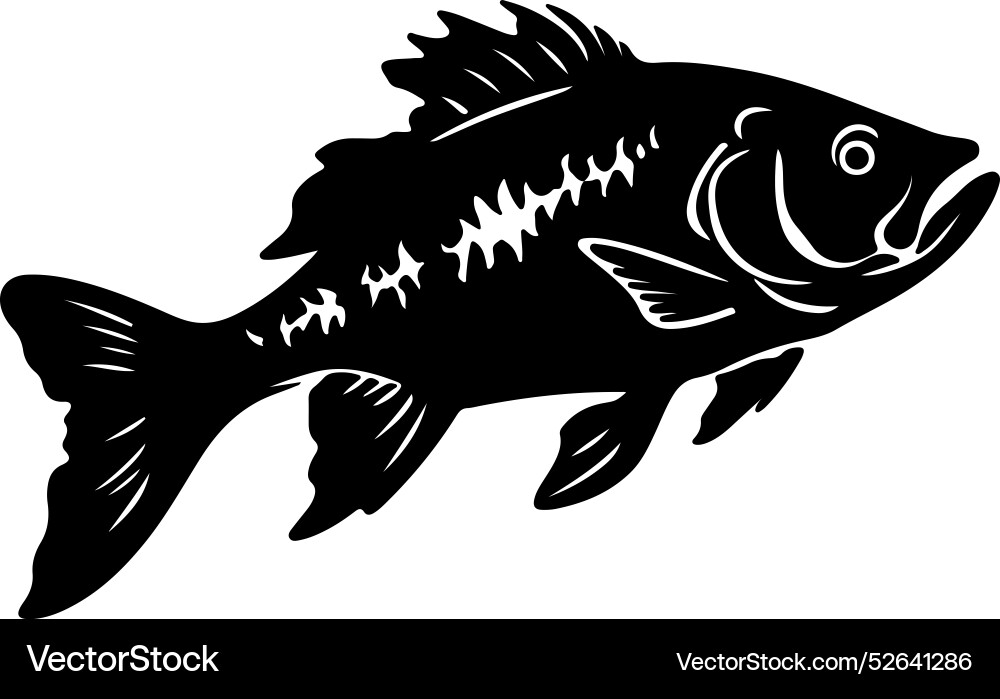 Coelacanth fish silhouette white background Vector Image