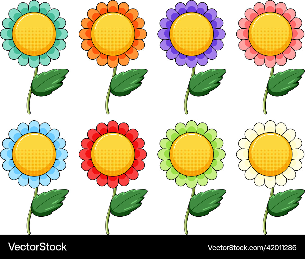 Flowers in many colors Royalty Free Vector Image