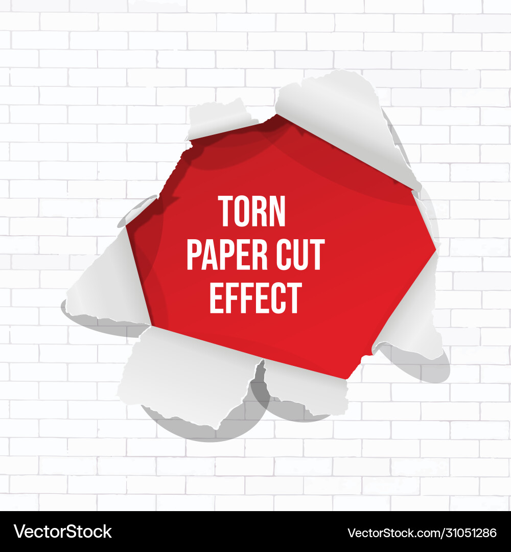 Torn paper cut effect isolated with white brick Vector Image