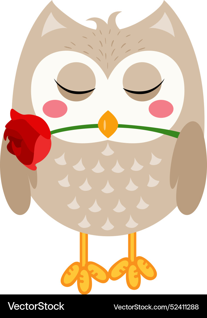 Cute owl holding a red rose Royalty Free Vector Image