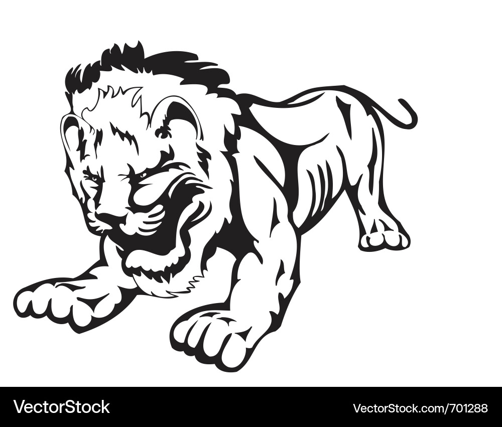 Wild lion Royalty Free Vector Image - VectorStock