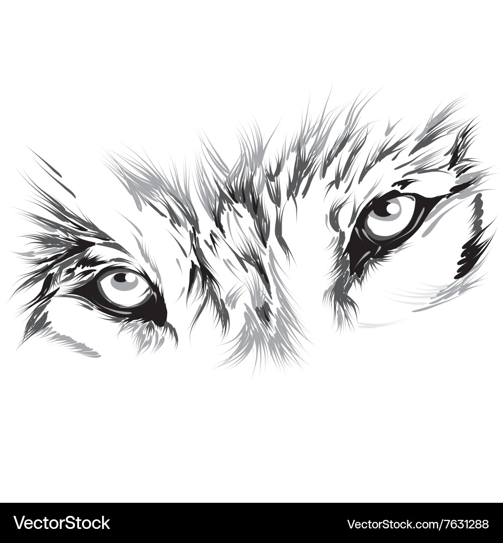 Wolf face Royalty Free Vector Image - VectorStock