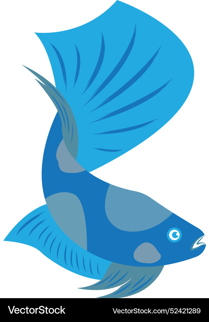 Beautiful betta fish Royalty Free Vector Image