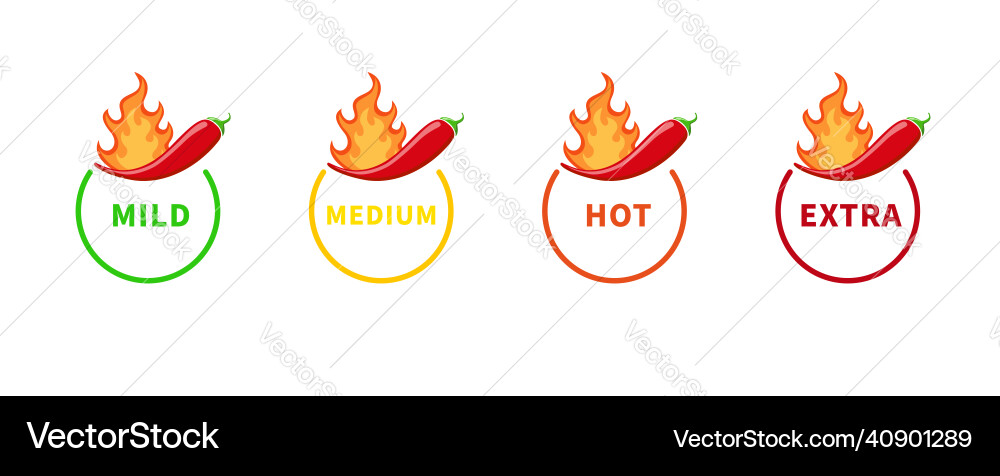 Pepper chilli level meter of spicy Royalty Free Vector Image
