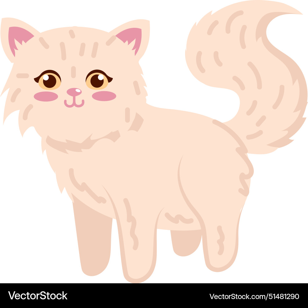 Cute domestic cat pet Royalty Free Vector Image