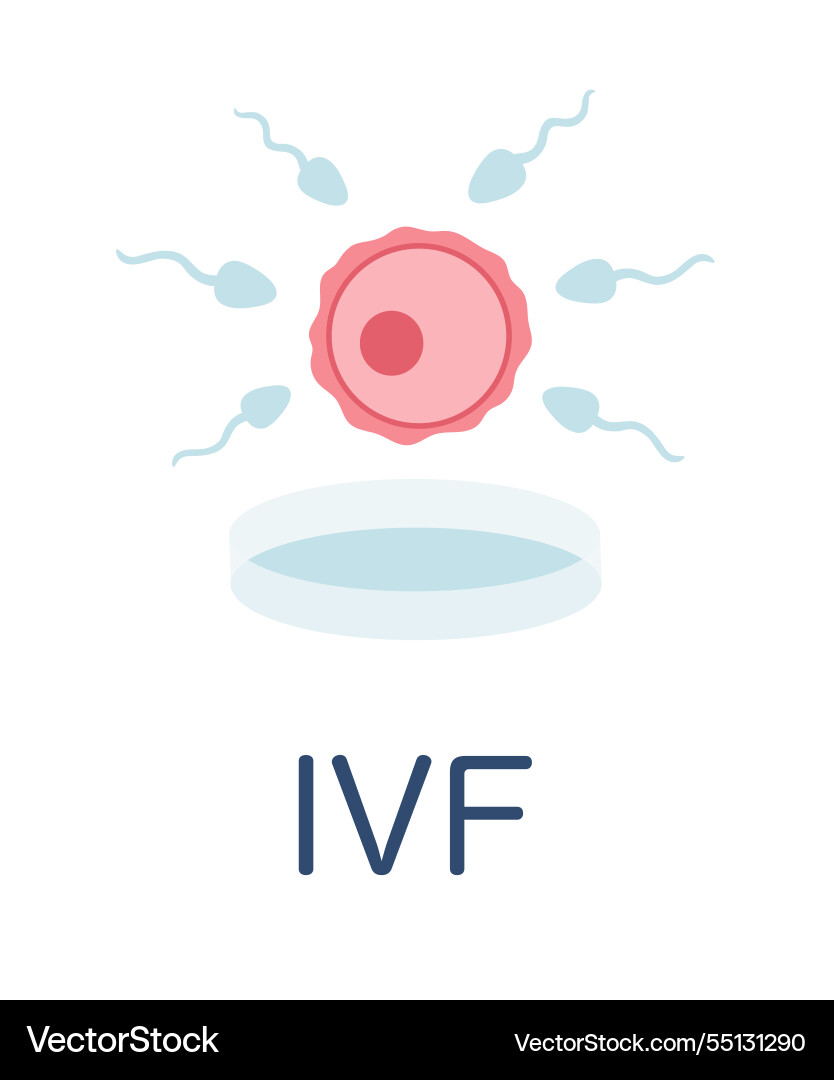 In vitro fertilization poster ivf infographic Vector Image