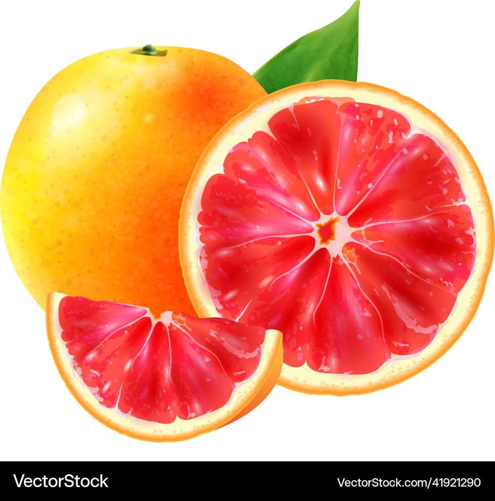 Realistic grapefruit fruit composition Royalty Free Vector