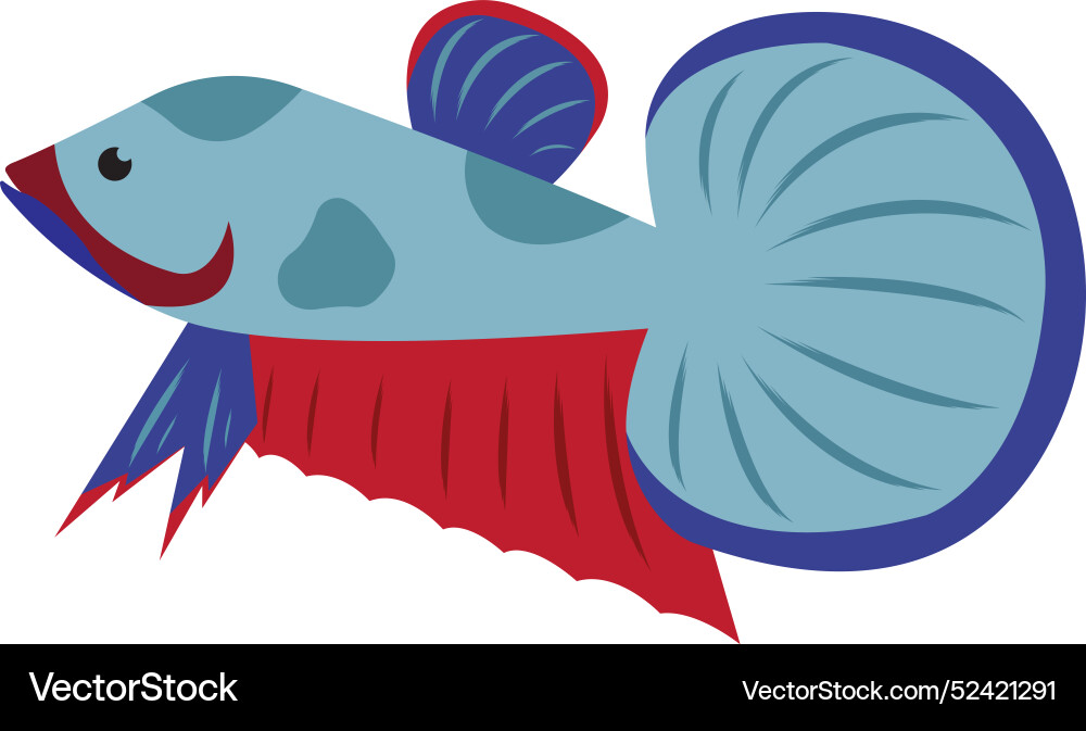 Beautiful betta fish Royalty Free Vector Image
